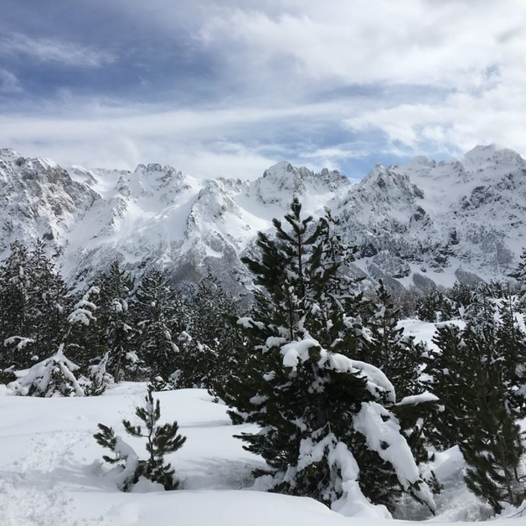 Snow | Sondor Travel