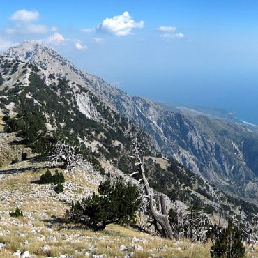 Blog | Sondor Travel